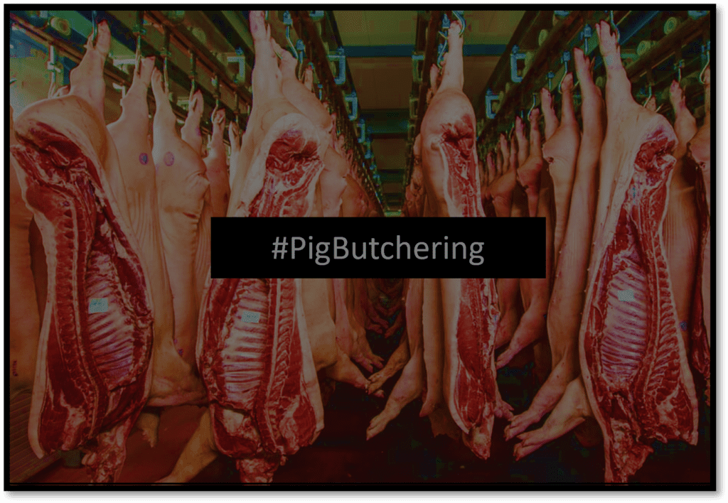 Pig Butchering | FinTelegram News