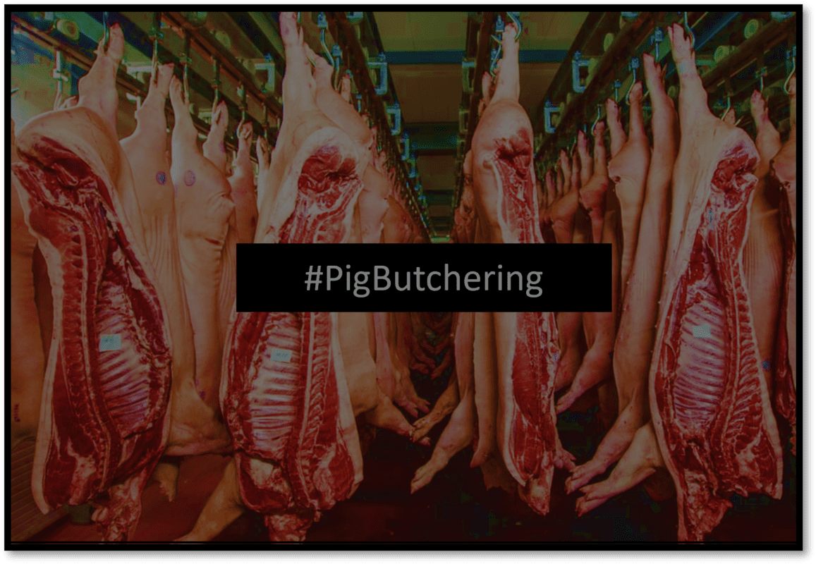 Warning Against The Imminent Danger of Pig Butchering For The Dawning ...